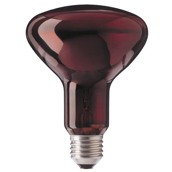 Infrared Incandescent Lamp 50W E27 Standard Screw — The Real Food Company
