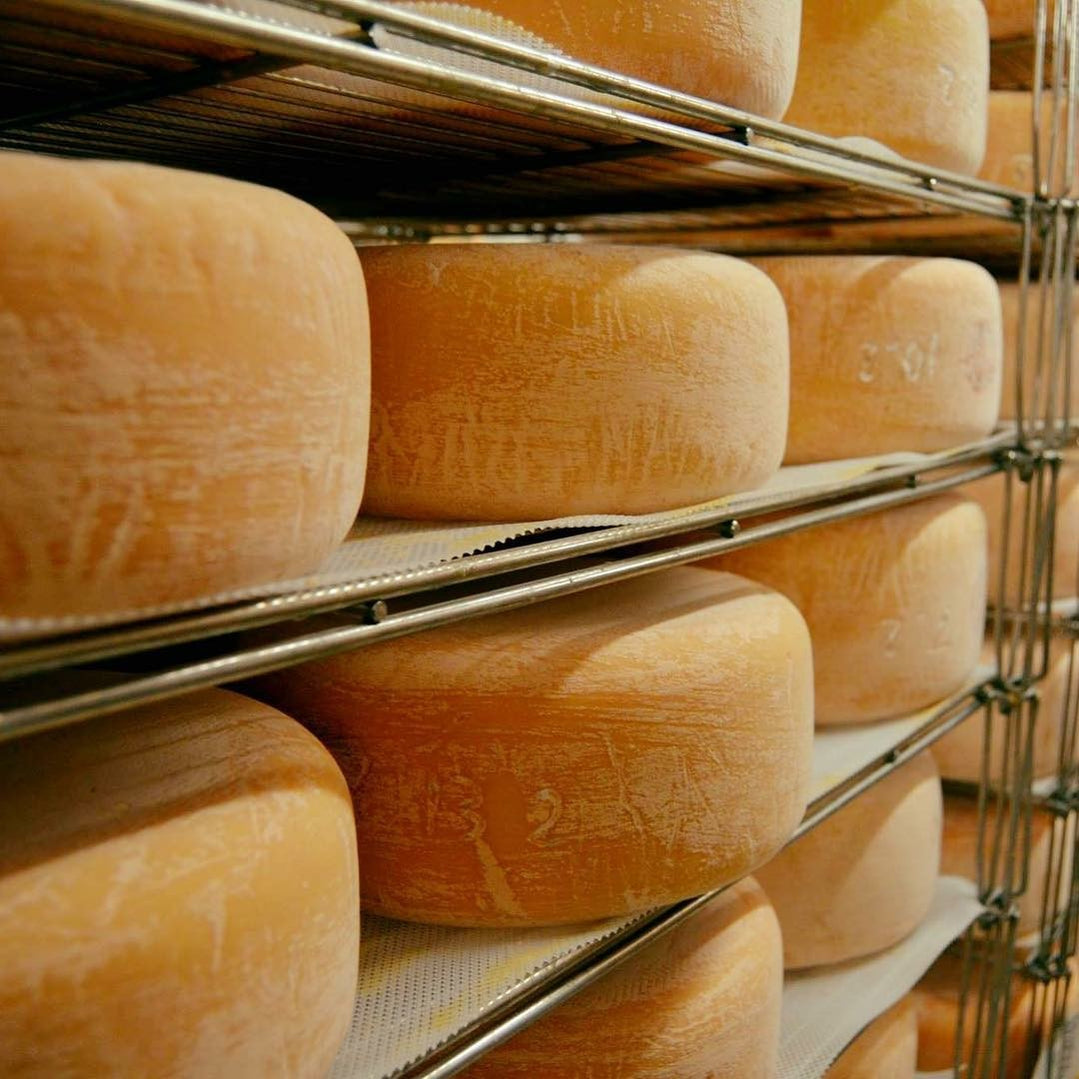 Raw Cheeses — The Real Food Company